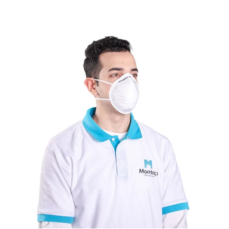 FFP1 Vs FFP2 Vs FFP3: The Complete Dust Mask Rating Guide - morntrips.com