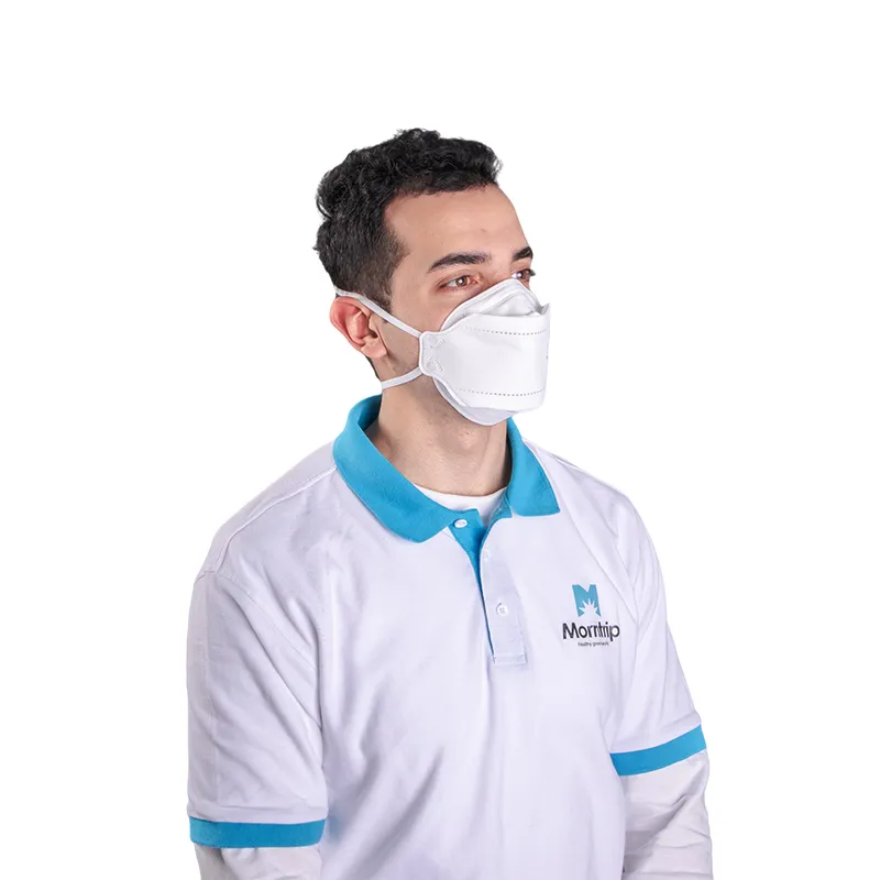 FFP1 Vs FFP2 Vs FFP3: The Complete Dust Mask Rating Guide - morntrips.com